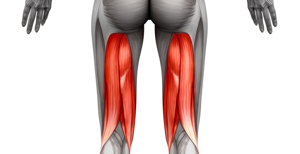 Hamstring Training For Better Sports Performance | Pro Trainer