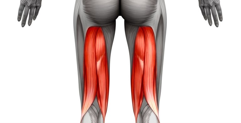 Hamstring Training For Better Sports Performance | Pro Trainer
